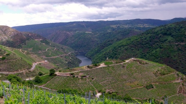 Ancient Roman Vineyards – The Wines Of Ribeira Sacra | El Camino Del Vino
