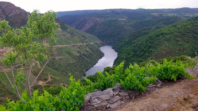 Ancient Roman Vineyards – The Wines Of Ribeira Sacra | El Camino Del Vino